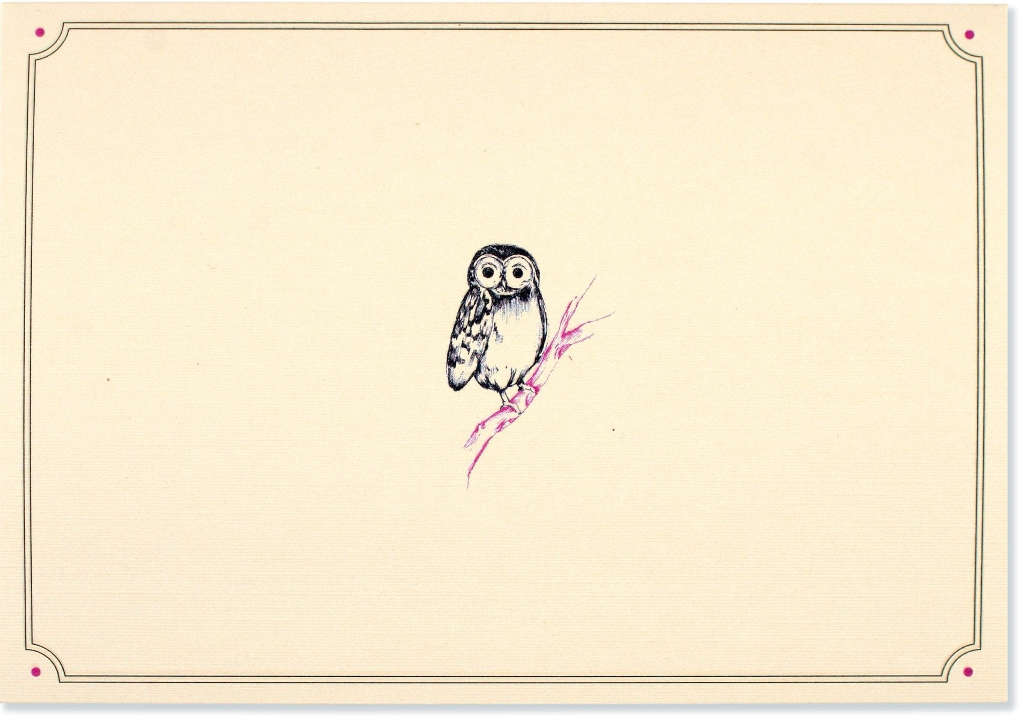 Owl Note Card Boxed Set | Paper Skyscraper